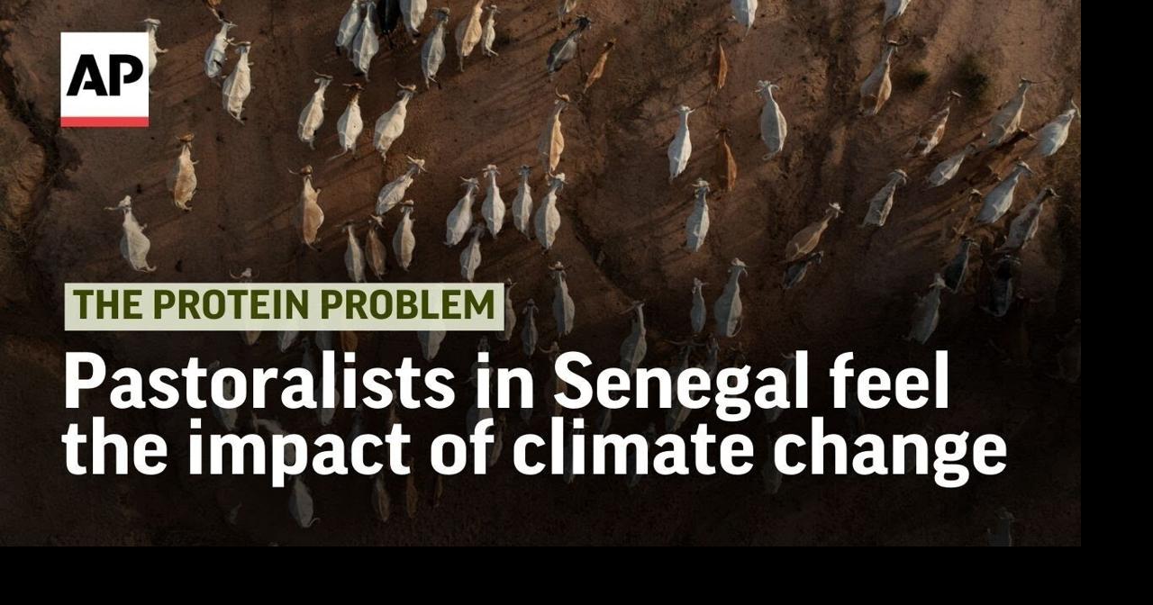 How pastoralists in Senegal are feeling the impact of climate change ...