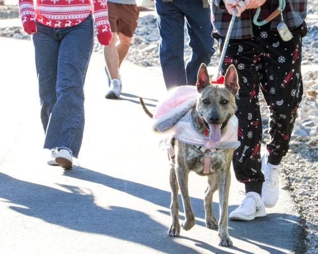 Photos | Havasu gets festive for annual ‘Jingle Bell Walk’ | Galleries ...