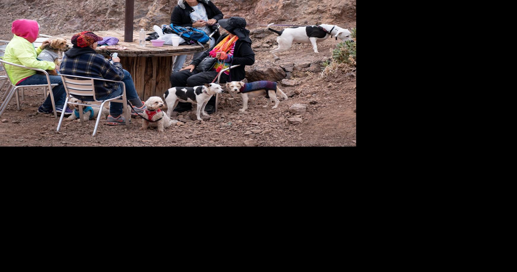 Middle of the Desert: Desert Bar celebrates opening weekend | Local ...