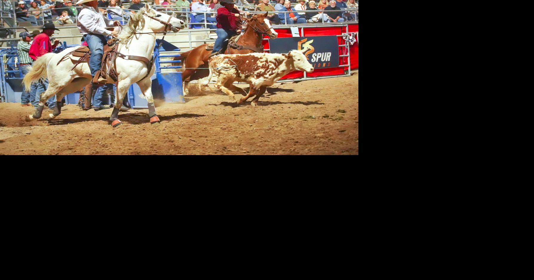 County approves lease on Kingman rodeo grounds | | havasunews.com