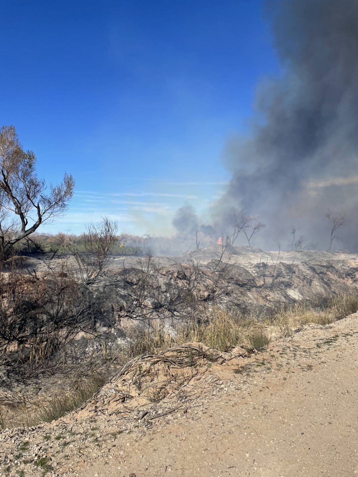 Refuge fire grows to more than 4,000 acres | Complimentary | havasunews.com