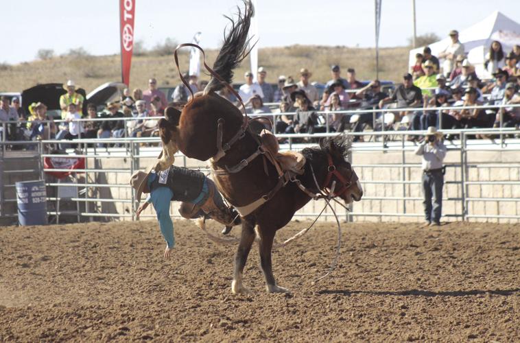 Photos: 2020 Grand Canyon Pro Rodeo and Little Delbert Days | Galleries ...