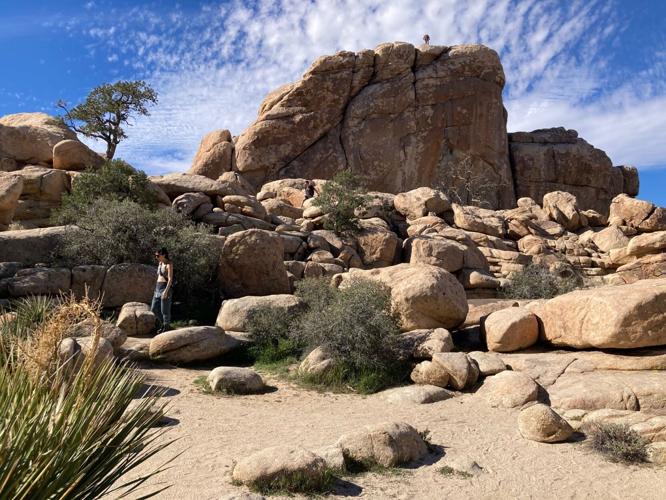 A first-timer’s guide to Joshua Tree National Park, where trees and ...