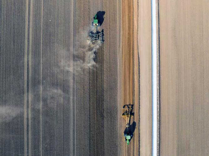 Where a Saudi company pumps desert groundwater, Arizona considers ...