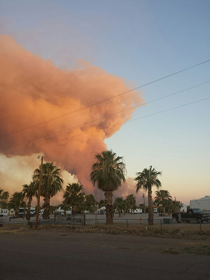 Photos: Wildfire in Mohave Valley | Local News Stories | havasunews.com