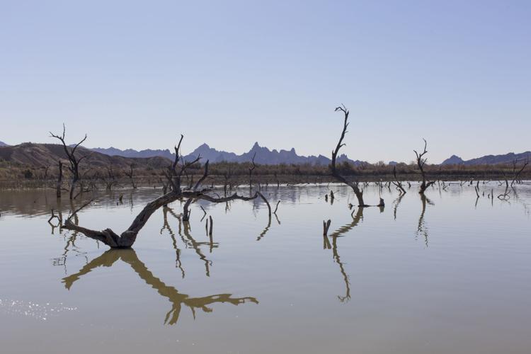 Photos from the Havasu National Wildlife Refuge | Galleries ...