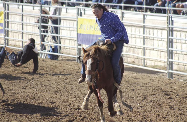 Photos: 2020 Grand Canyon Pro Rodeo and Little Delbert Days | Galleries ...