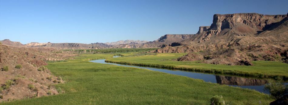 Good morning! Tours resume at Bill Williams River National Wildlife ...