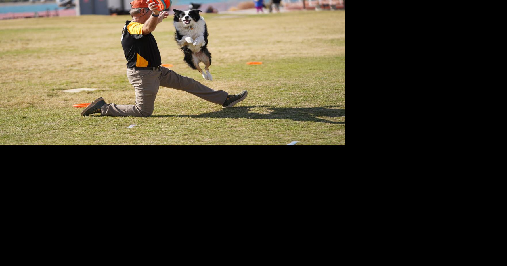 Havasu Balloon Festival & Fair | Disc Dogs perform for crowd ...