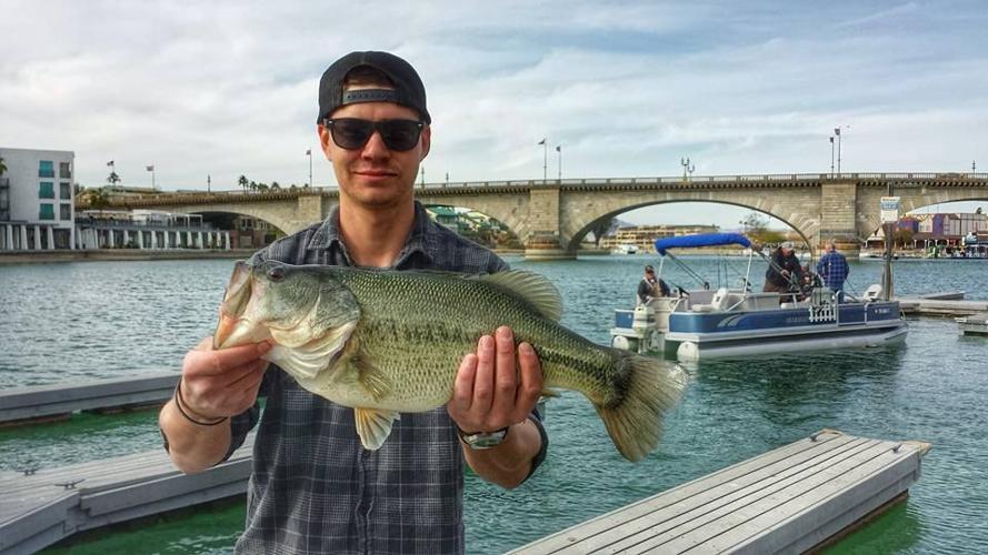 Top 5 fishing baits for catfish in Arizona | Local News Stories ...