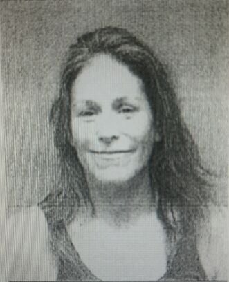 Woman wanted in RV theft case returned to custody | Local News Stories ...