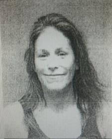 Woman wanted in RV theft case returned to custody | Local News Stories ...