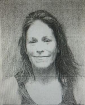Woman wanted in RV theft case returned to custody | Local News Stories ...