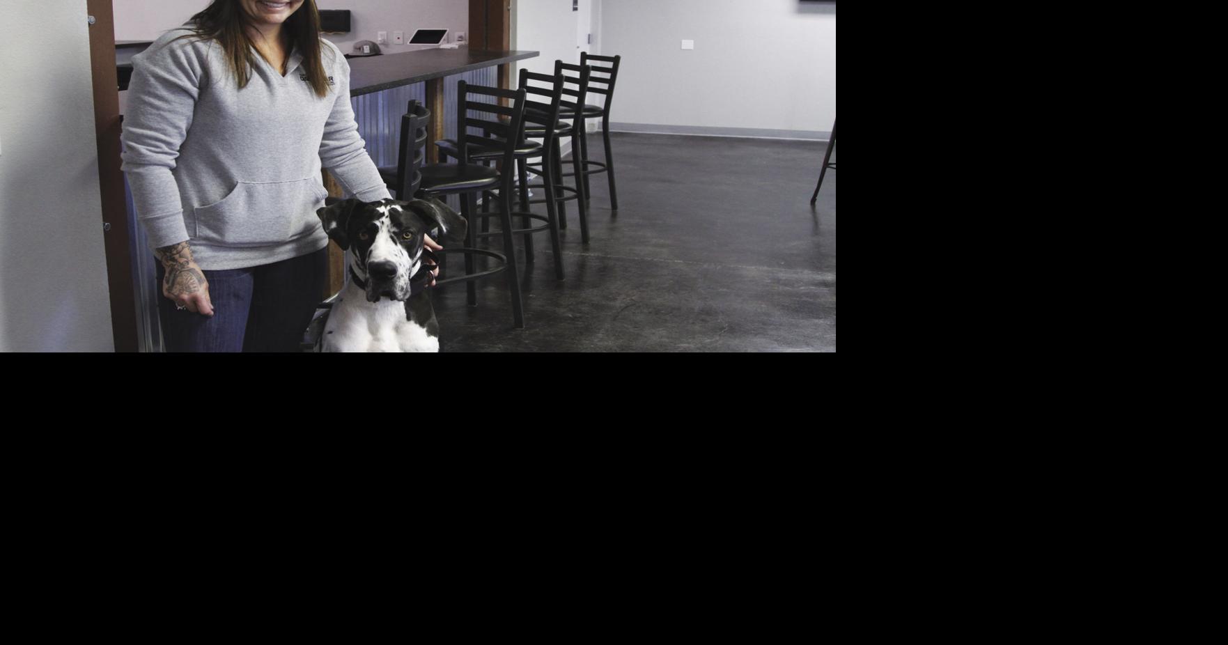 Havasu bar goes to the dogs: Pet-friendly bar opens | Local News ...