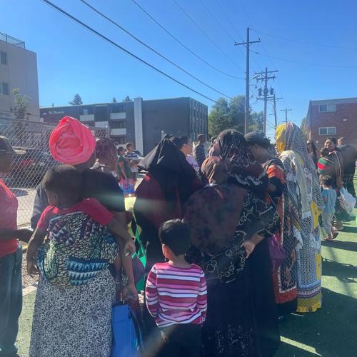 PRESS RELEASE: Fresh Food Connect Invites Denver Gardeners to Aid ...