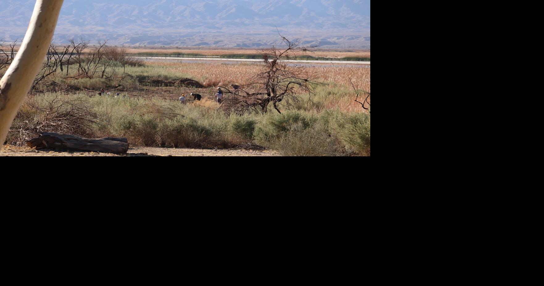Topock Marsh receives another $20 million to address water level issues ...