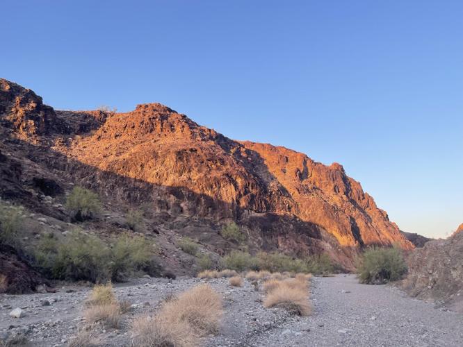 As SARA Park rescues continue it is unclear whether new signs are ...