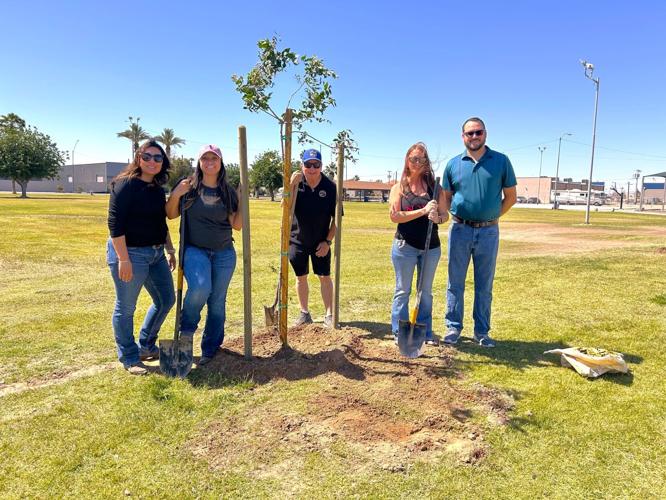 Tree-planting event celebrates new trees being planted in parks ...