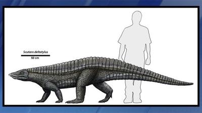 Petrified Forest finds new species of plant-eating reptiles | Arizona ...