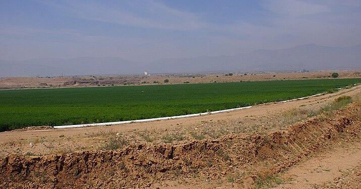 Arizona House votes for foreign farming ban | Local News Stories ...