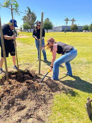 Tree-planting event celebrates new trees being planted in parks ...