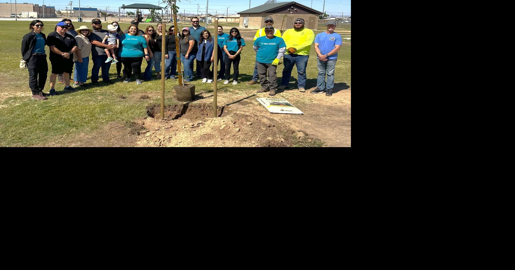 Tree-planting event celebrates new trees being planted in parks ...