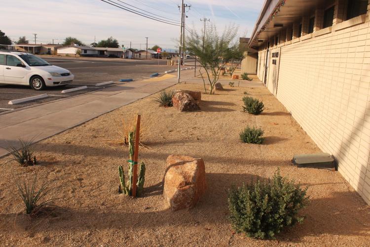 Council approves bid for landscaping project at Parker Library | Parker ...