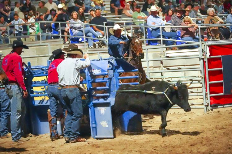 Photos: Lake Havasu Stampede Rodeo | Complimentary | havasunews.com