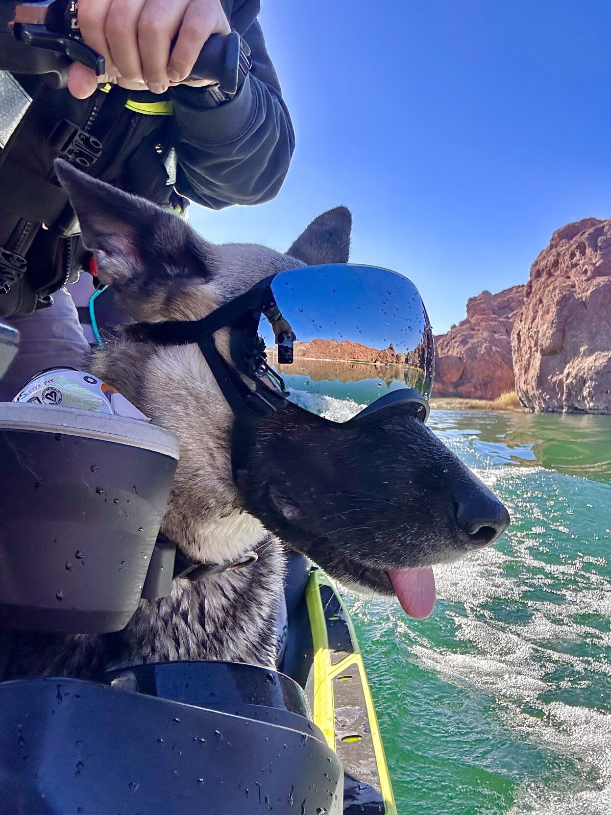 Havasu's Adam Swords fulfilling dream, is a Sea-Doo Ambassador | Local ...