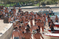 spring breakers spring break gif