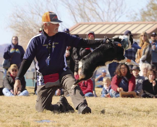 Fetching Fido: Havasu Disc Dogs bring entertainment and joy to Havasu ...