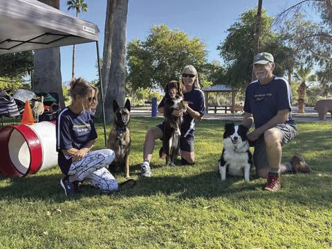 Fetching Fido: Havasu Disc Dogs bring entertainment and joy to Havasu ...