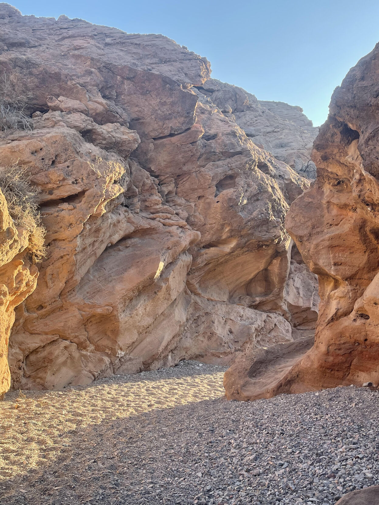 As SARA Park rescues continue it is unclear whether new signs are ...