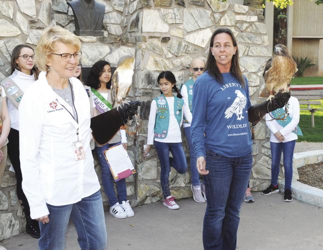Arizona legislator seeks balloon release ban | Local News Stories ...