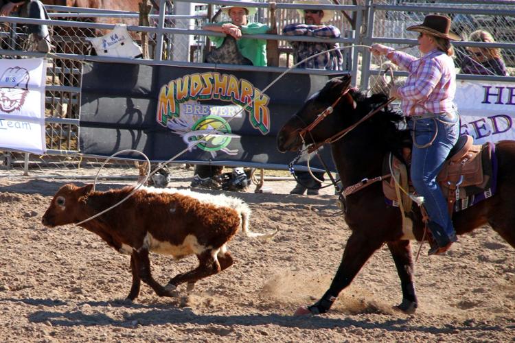 Photo gallery: Reader photos from the 2015 Lake Havasu City rodeo ...