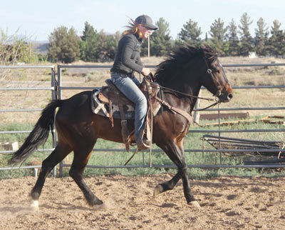 Mohave County horse trainer wins state competition after taming wild ...