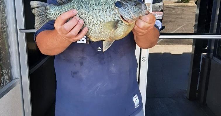 World record redear: Check out this 6.3 pounder caught in Arizona's ...