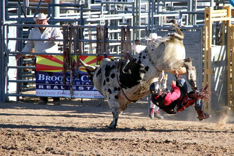 Photo gallery: Reader photos from the 2015 Lake Havasu City rodeo ...