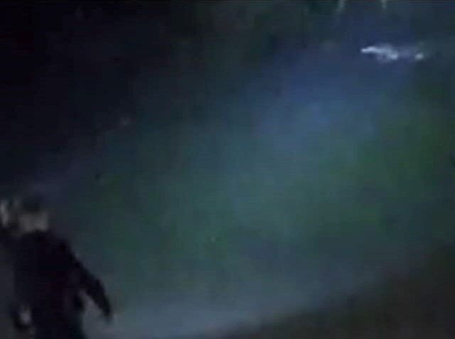 Gone gator? No sign of 'unidentified animal' in Bridgewater Channel ...