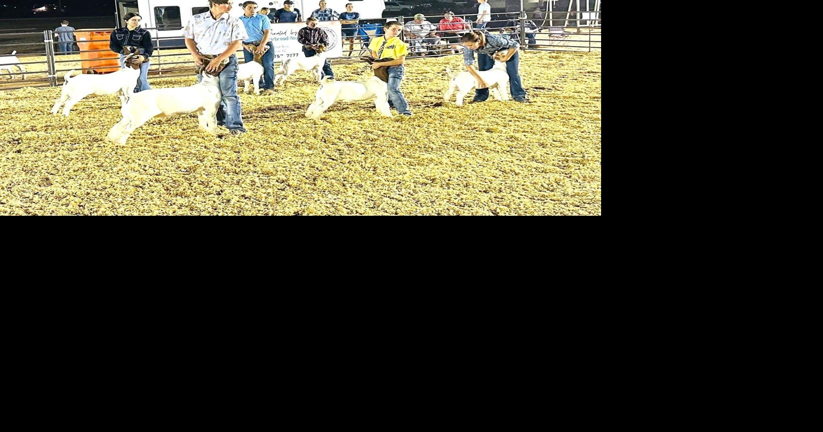 Group planning to build improved livestock arena in Golden Valley ...