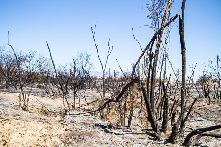 Fire suppression continues in blaze that spread from Needles to Mohave ...