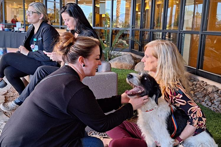 Adoptable dogs touch the hearts of Havasu Regional Medical Center staff ...