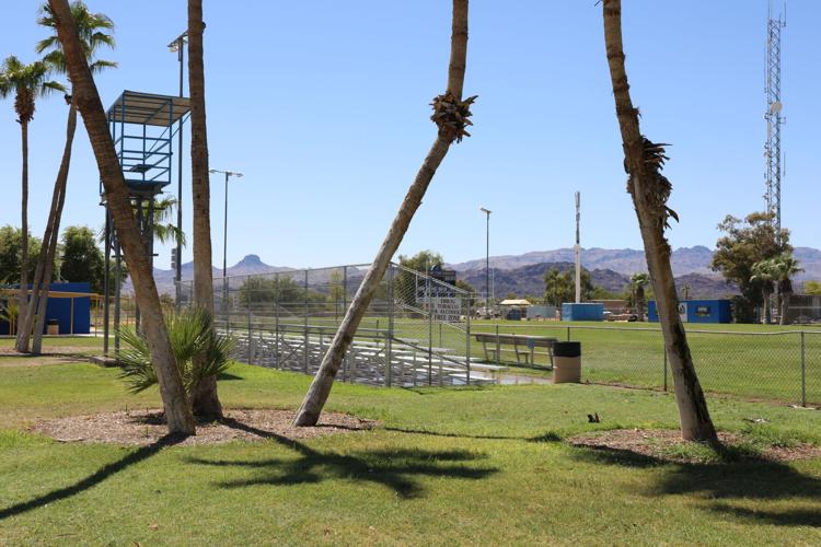 Lake Havasu City plans park improvements, approves Island park path project | Local News Stories ...