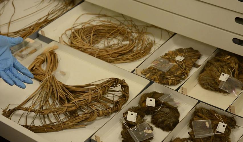 Hobbs wants $7M to help speed up repatriation of Native American ...
