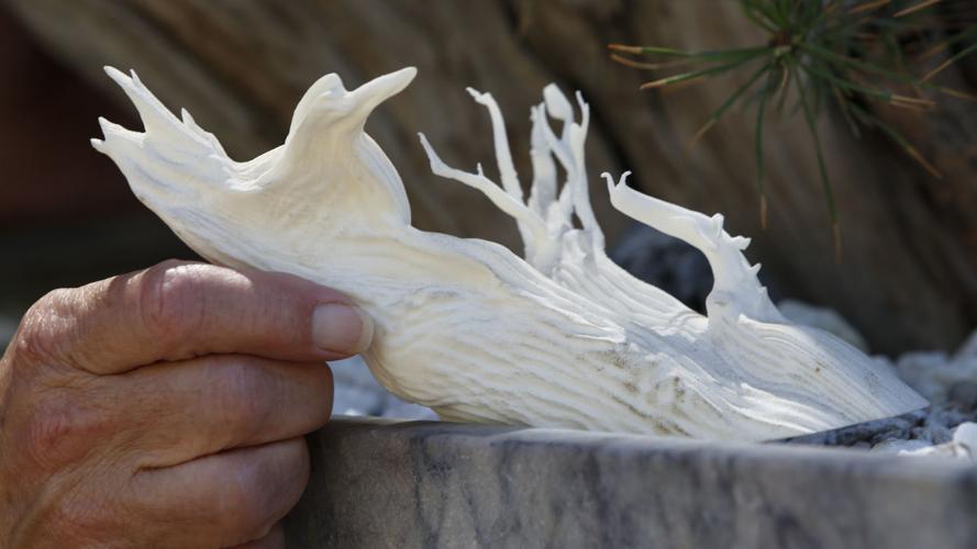 Artist salutes Prometheus, a 5,000-year-old bristlecone pine tree ...