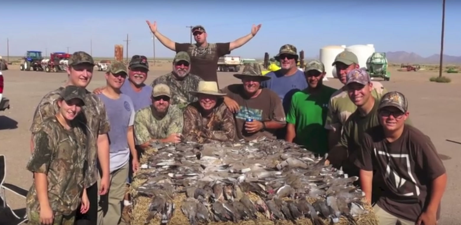 Arizona dove hunting season to open Sept. 1 with updated rules and bag ...