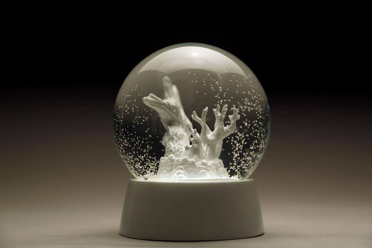 Artist salutes Prometheus, a 5,000-year-old bristlecone pine tree ...