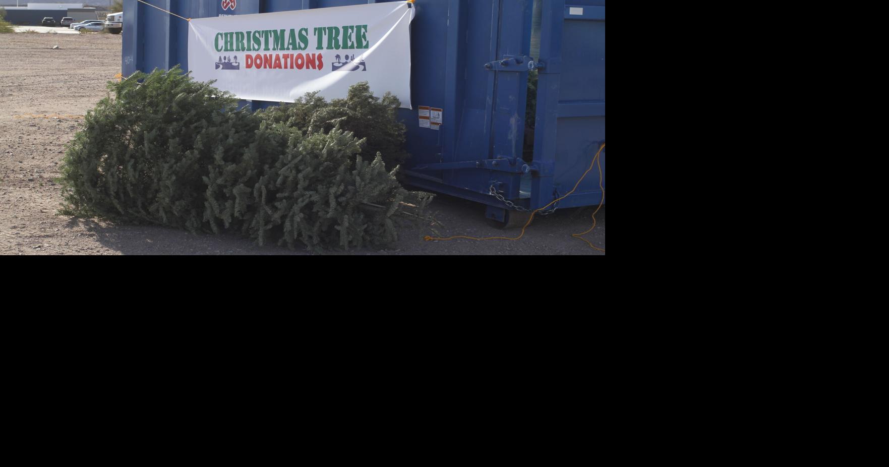 Christmas Tree Recycling Program begins on Park Avenue | Local News ...