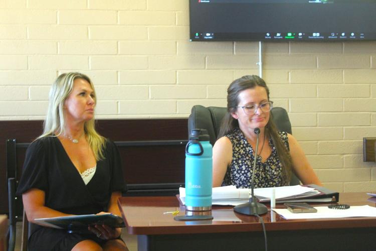 Council postpones decision on Library Director’s termination appeal ...