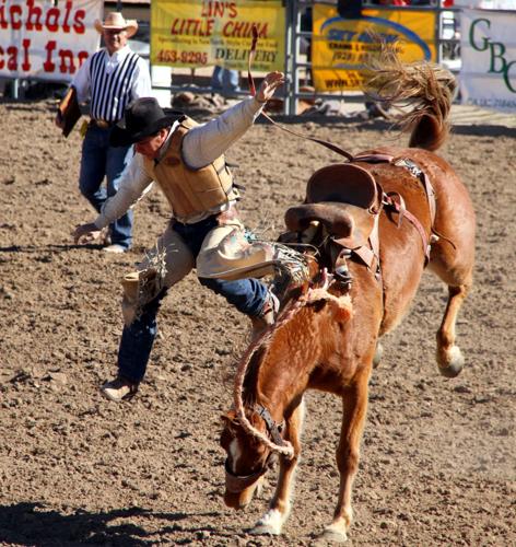 Photo gallery: Reader photos from the 2015 Lake Havasu City rodeo ...